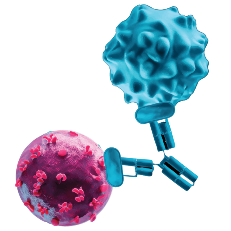 Home - T-Cell Engager for Autoimmune Disease Summit